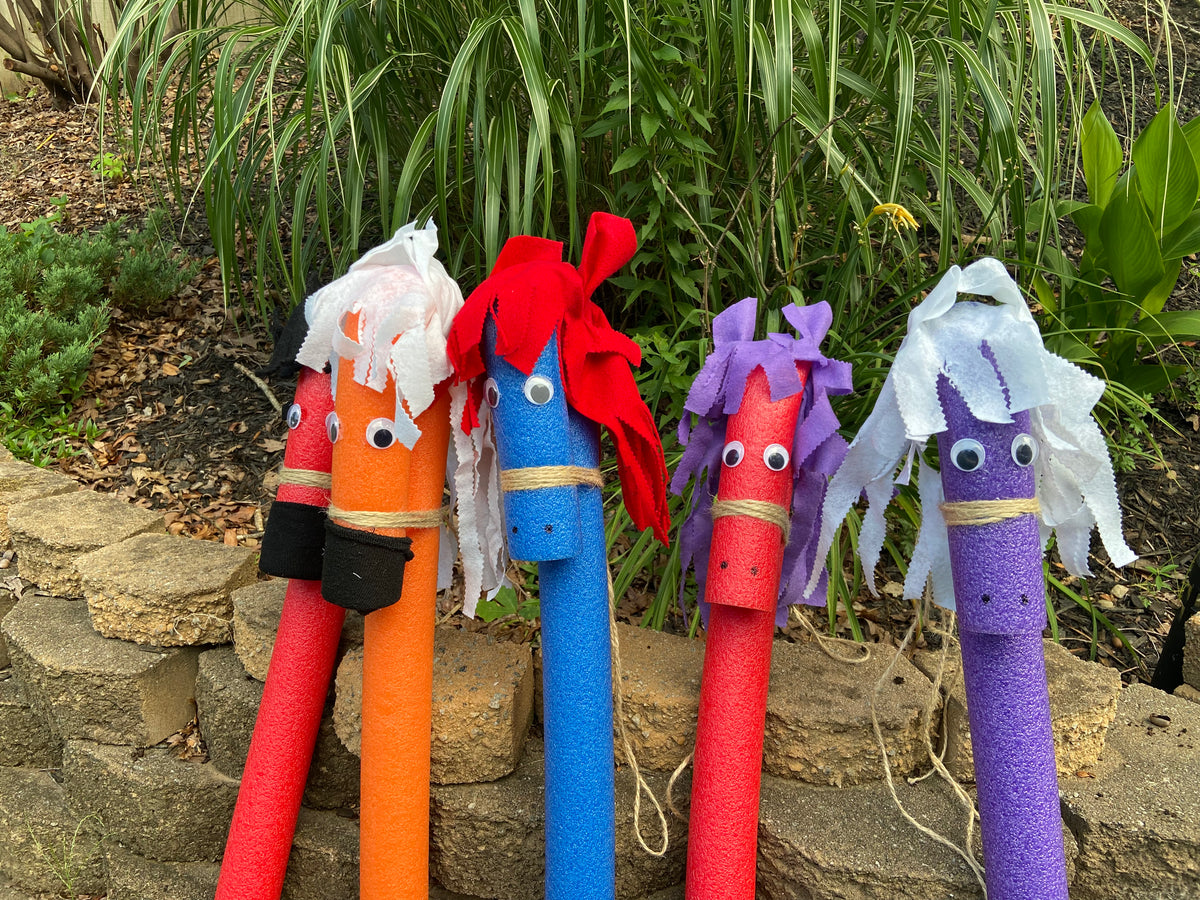 Pool noodles horses – T's Wreaths and HomeGoods