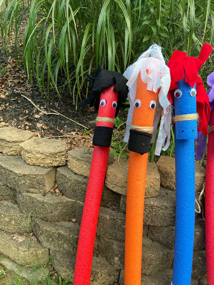 Pool noodles horses – T's Wreaths and HomeGoods
